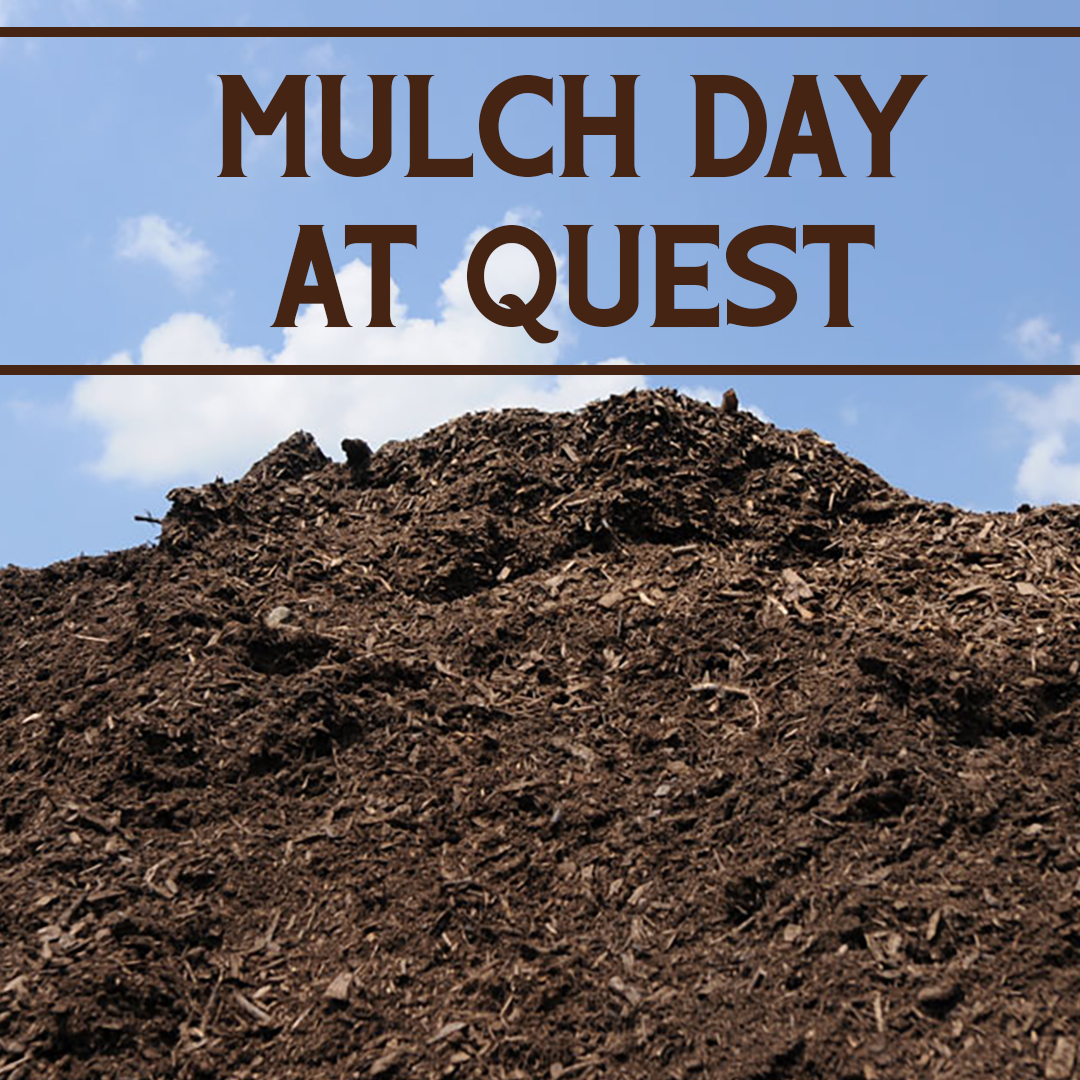 Quest Church of St. Louis – a people in and for the community.