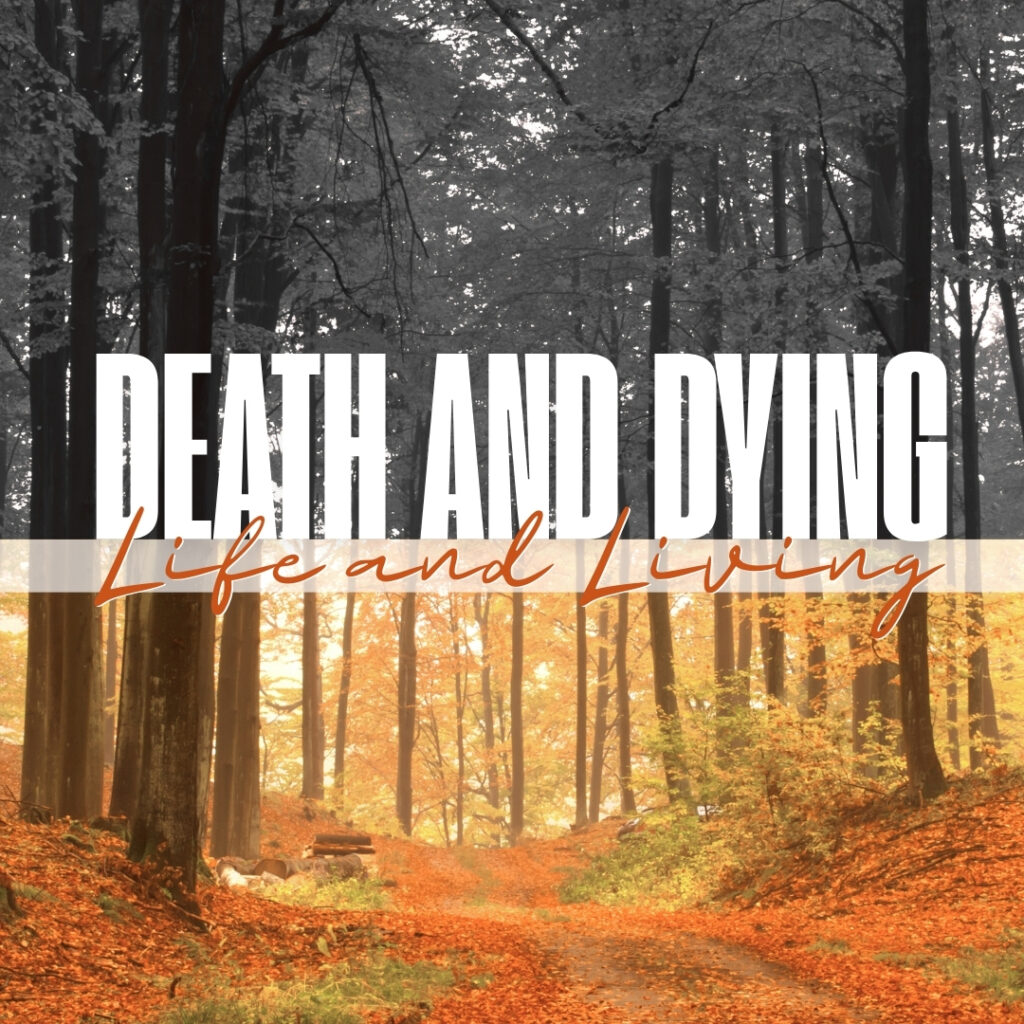 Death and Dying, Life and Living (Part 2) | Quest Church of St. Louis
